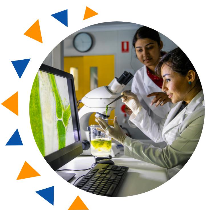 Course: AI & ChatGPT for Water Footprint Assessment (Updated 2025)